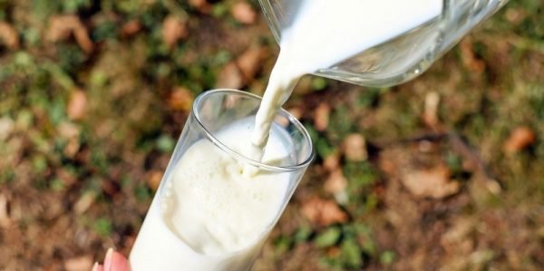 Qué es la crema de leche o nata y algunas recetas